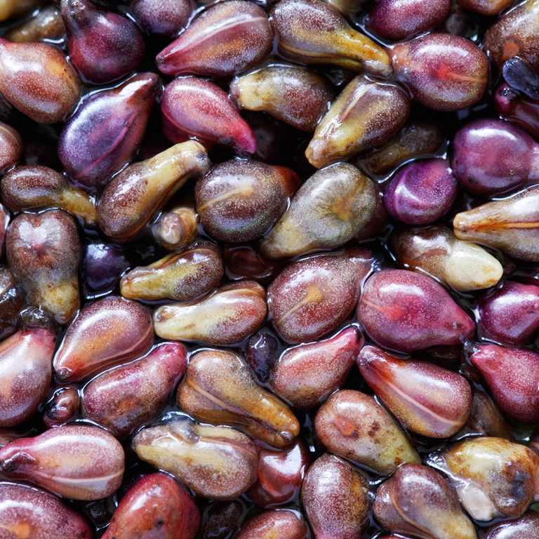 Millennium Red - E. EXCEL