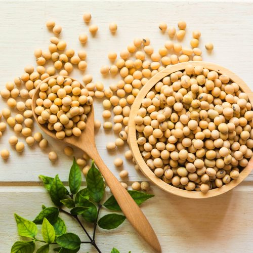 Nutriall Original - E. EXCEL