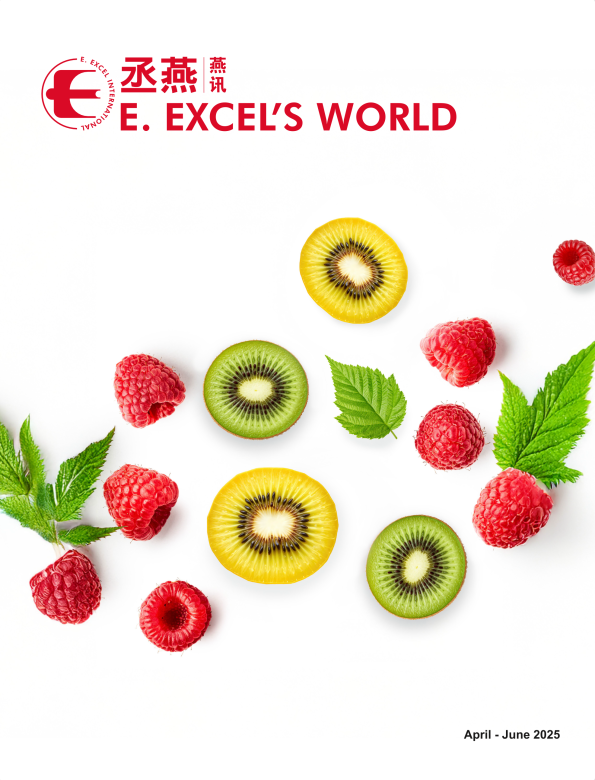E. EXCEL
